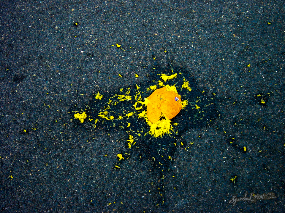 Squashing Oranges | I am Squashed_Orange…